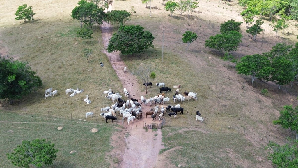 Rural à venda em Zona Rural, São Sebastião - R$ 1.500.00 - DFimoveis.com