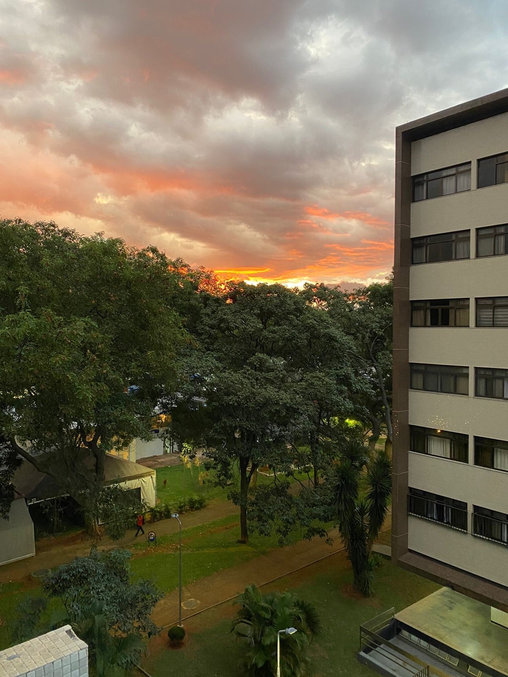 Apartamento para aluguel com 3 quartos na Asa Sul, Brasília - R$ 5.800 ...